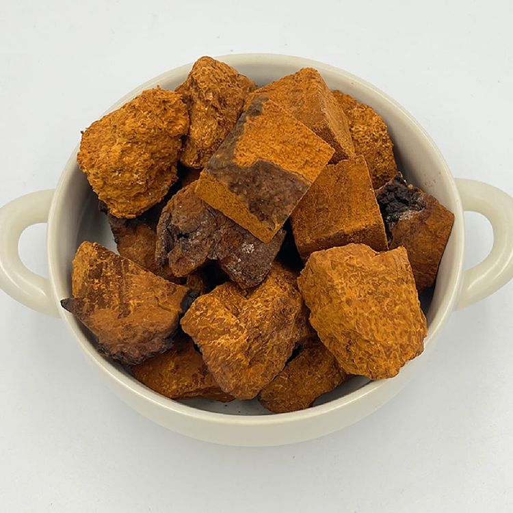러시아 차가버섯 원물 300g 러시아산 건강차 삼계탕 재료 홈플러스 택배배송