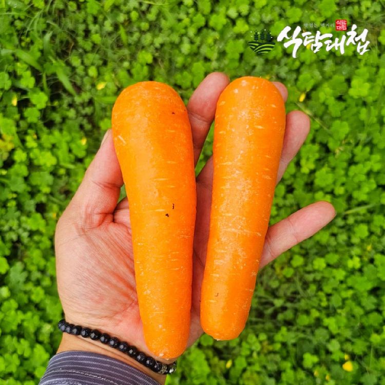 식탐대첩 국내산 달콤 아삭한 세척당근 중 1kg 홈플러스 택배배송