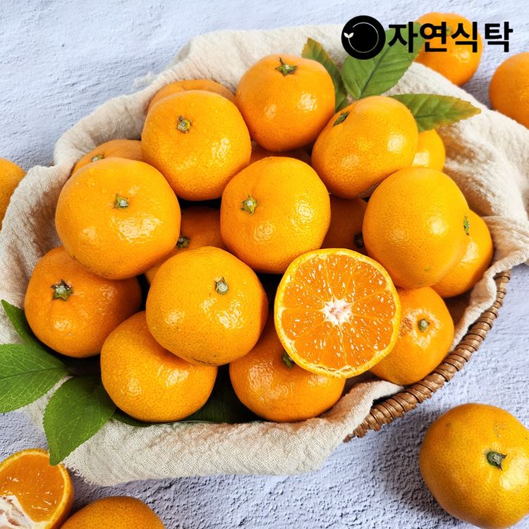 제주직송 제주 햇 노지감귤 9kg 중과 실중량 홈플러스 택배배송