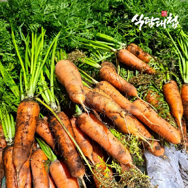 식탐대첩 제주 구좌 흙당근 2kg 특 홈플러스 택배배송