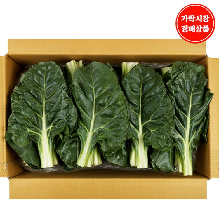 가락시장 경매 식자재 채소 근대 4kgbox 홈플러스 택배배송