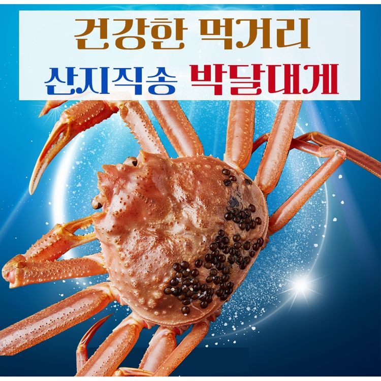 예님푸드 제철수산물 구룡포 산지직송 박달대게 소 1마리생물 홈플러스 택배배송