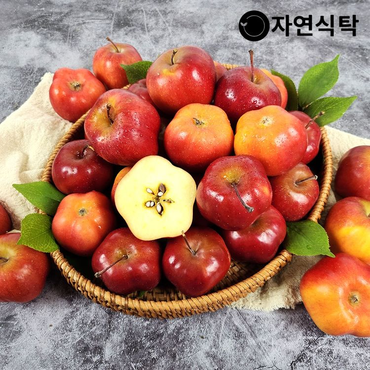 산지직송 신품종 가을스타 고당도 영주 별사과 12kg 중과18과내외 홈플러스 택배배송