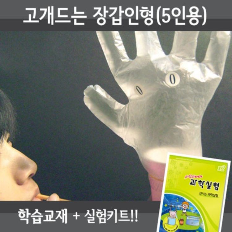 고개드는장갑인형 5인재료교재 동영상 홈플러스 택배배송