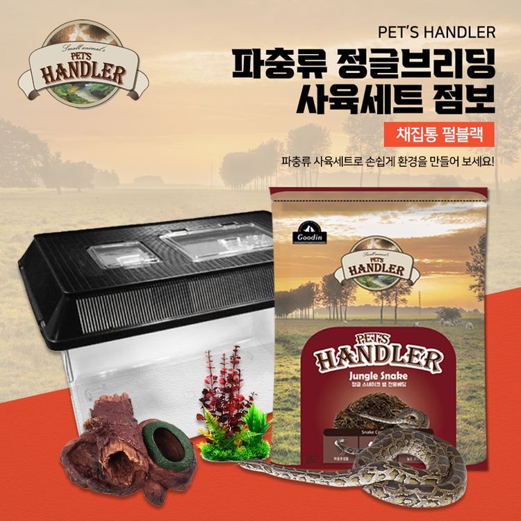 펫츠핸들러 파충류 정글브리딩 사육세트 점보 펄플랙 홈플러스 택배배송