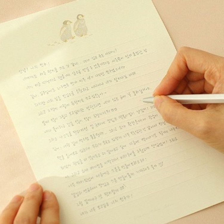 편지지 데일리편지지 3p 감사 생일 축하 엽서 카드 프롬더씨 홈플러스 택배배송
