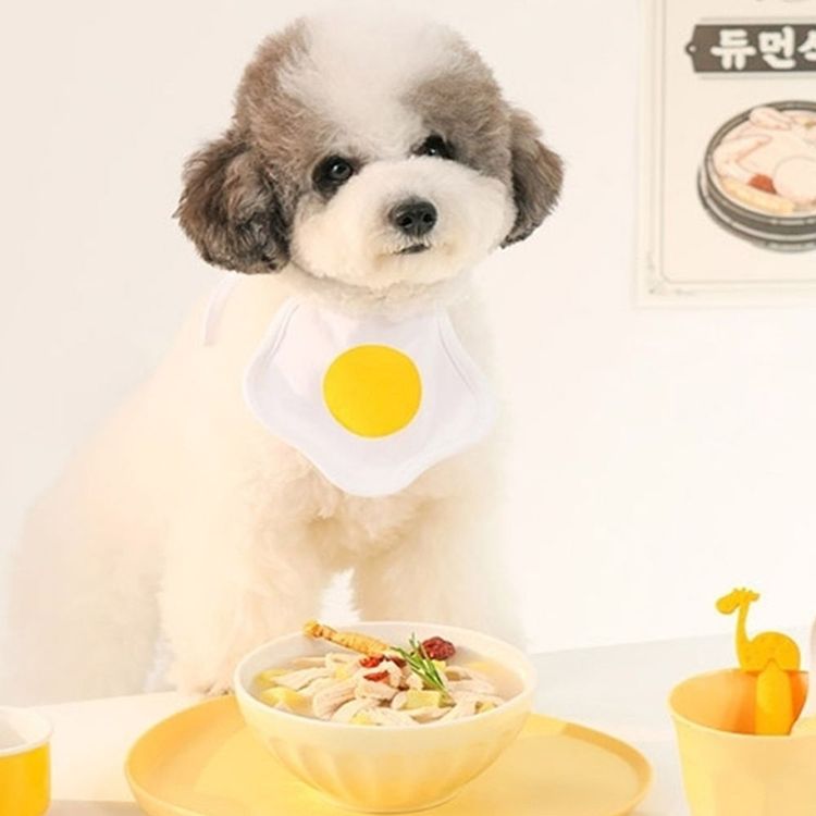 강아지영양간식 강아지 듀먼 영양 삼계탕 80g 1p 원기회복 보양식 홈플러스 택배배송