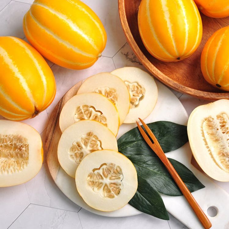 성주 참외 프리미엄 가정용 2kg 중소과 5~10과 홈플러스 택배배송