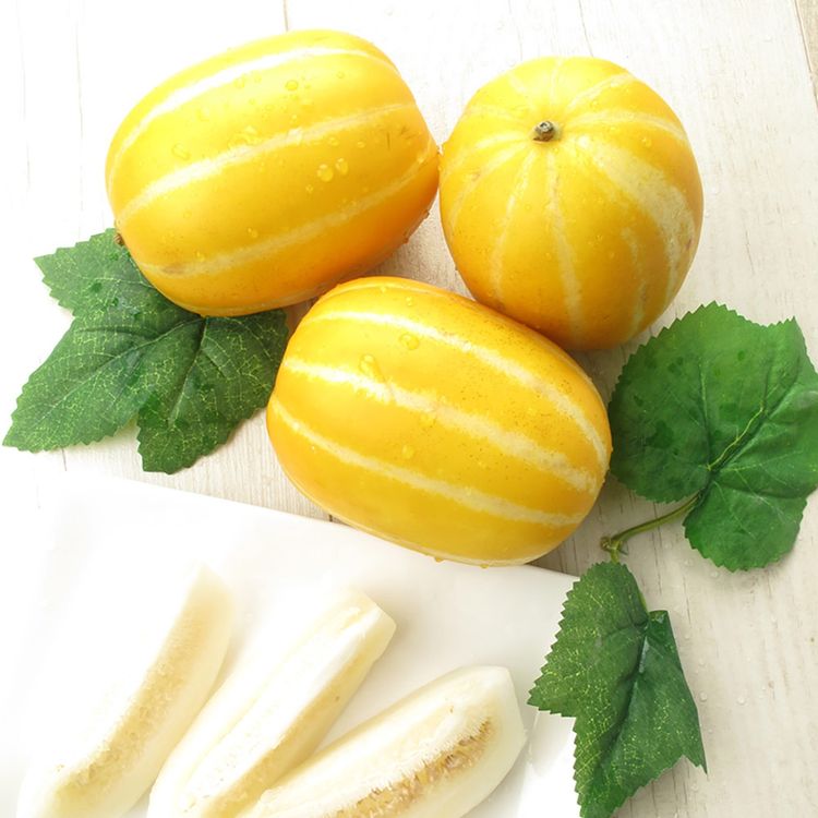 산지직송 수야네농장 참외 2kg11 15과소과 실속형 홈플러스 택배배송