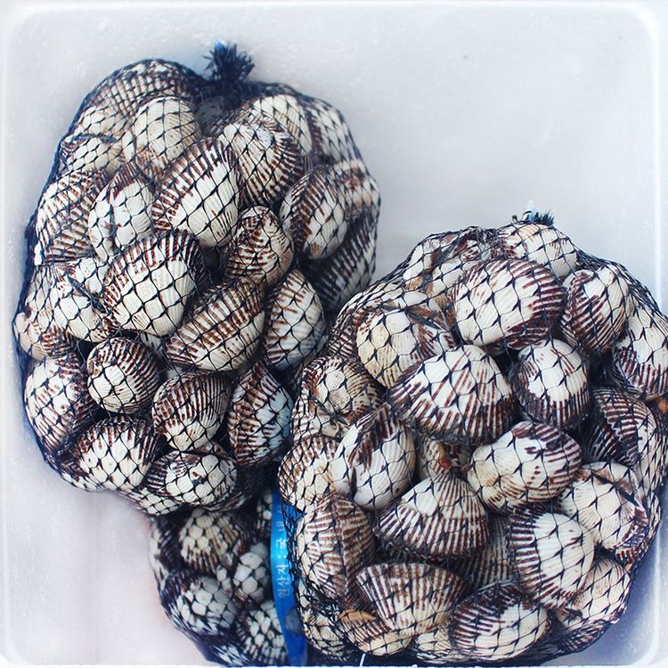 새꼬막 2kg 대사이즈 홈플러스 택배배송