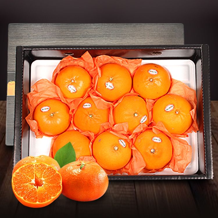 참다올 고당도 제주 프리미엄 레드향3kg13 15과 홈플러스 택배배송