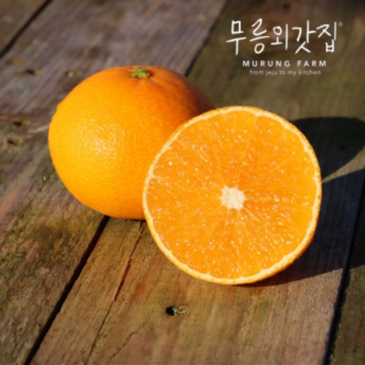 제주 제주도 서귀포 산지직송 서귀포하우스황금향 25kg 무릉외갓집 홈플러스 택배배송