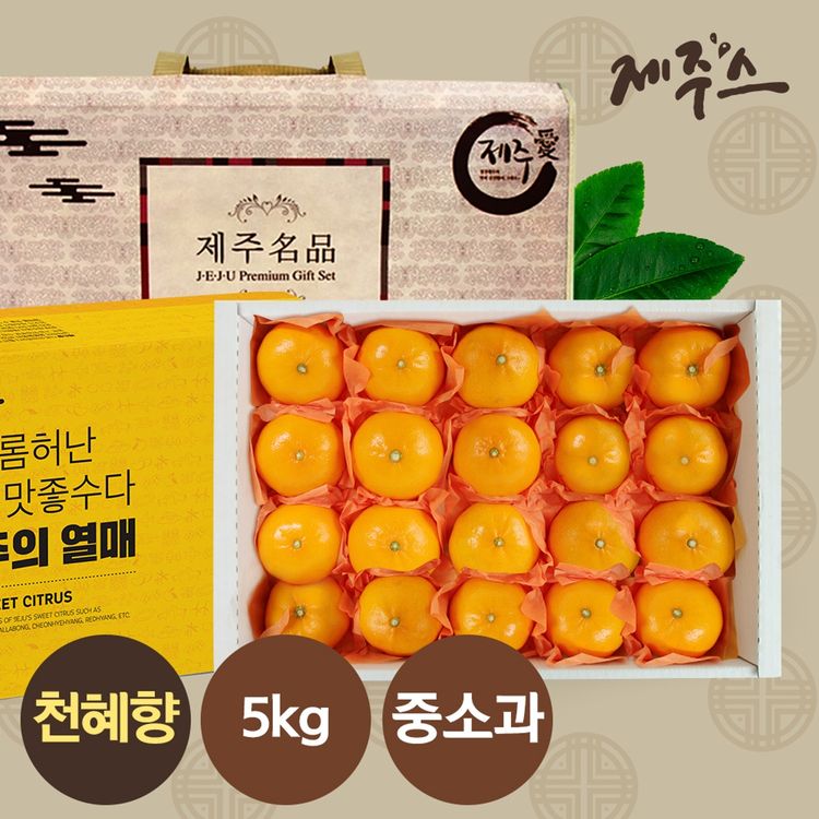 제주직송 제주스 천혜향 선물세트 5kg 중소과17 26과 1박스 부직포가방 홈플러스 택배배송