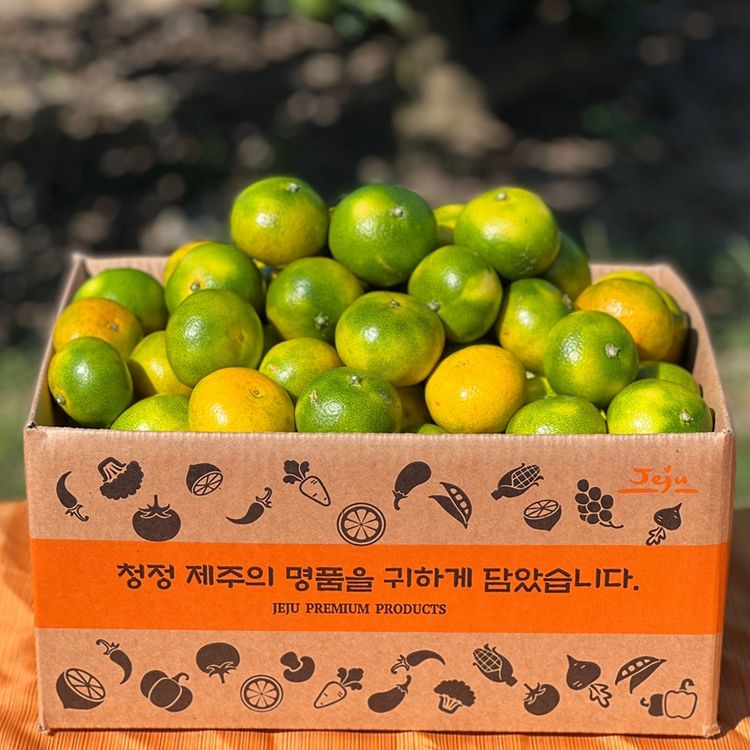 산지직송 제주 돌담 극조생 노지 감귤 25kg 로얄과s M 홈플러스 택배배송