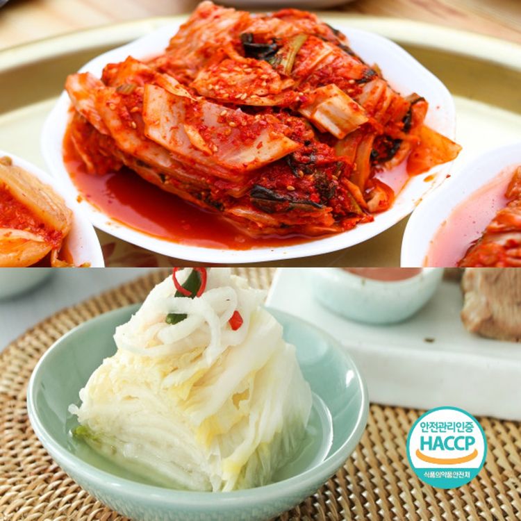 청량산봉화김치 별미김치 총10kg포기5kg백김치5kg 국내산 아이스박스 포장 홈플러스 택배배송