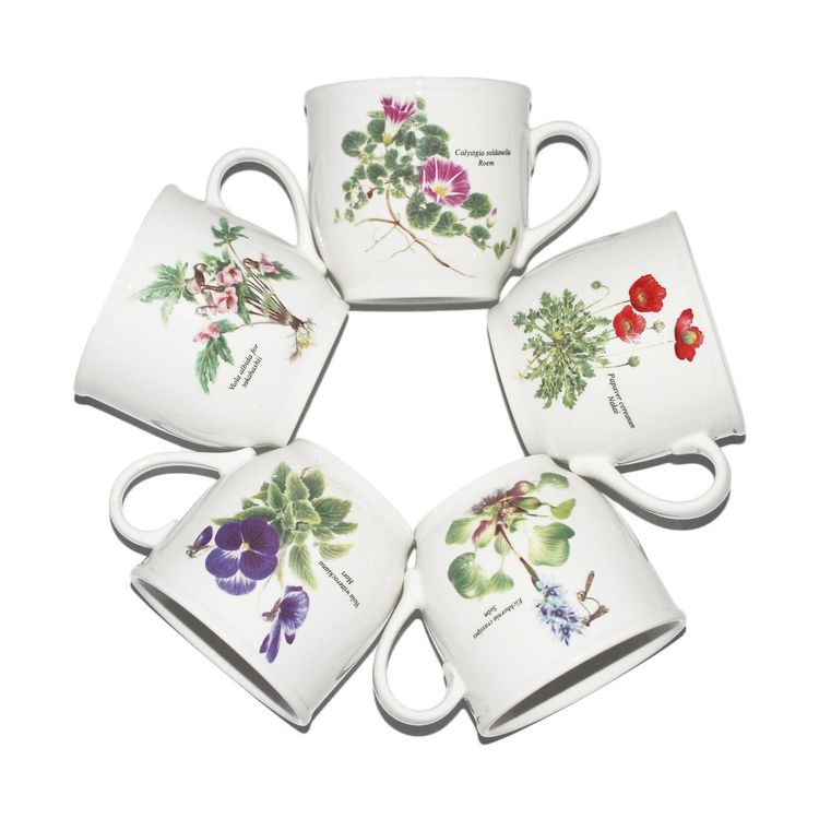 HNYT 와일드 플라워 머그세트 5pcs | 홈플러스 택배배송