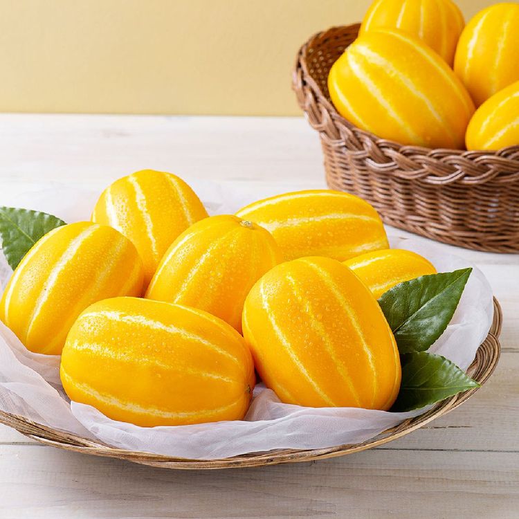 고당도 성주참외 가정용 3kg 랜덤과 홈플러스 택배배송