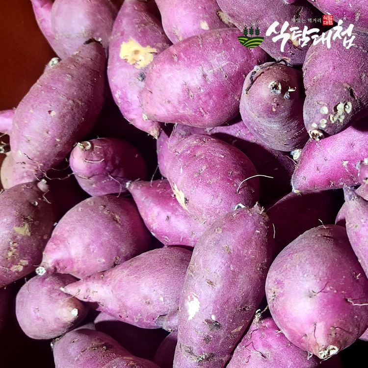 식탐대첩 국내산 토울 세척 꿀 고구마 2kg 한입 홈플러스 택배배송