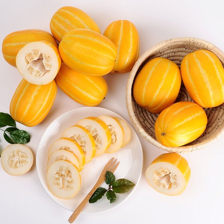 산지직송 50년 재배농가 성주 명물 고당도 성주참외 3kg 가정용 중과 홈플러스 택배배송