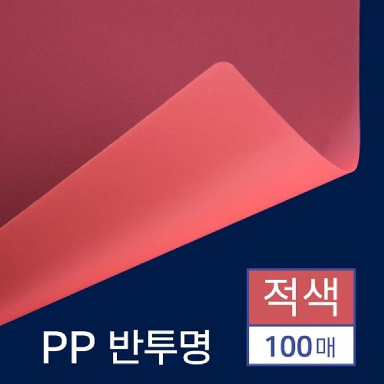 Pp표지 반투명 적색 B5 100매 카피어랜드 홈플러스 택배배송