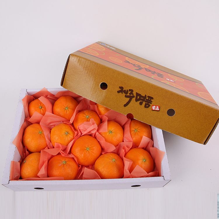제주 선물세트 한라봉천혜향 2kg 대과 홈플러스 택배배송