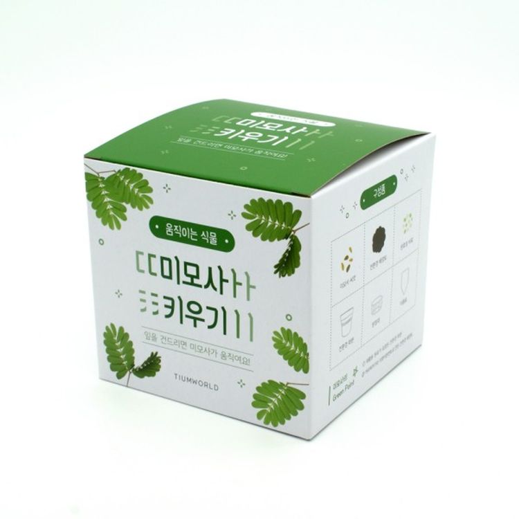 움직이는식물 미모사 홈플러스 택배배송