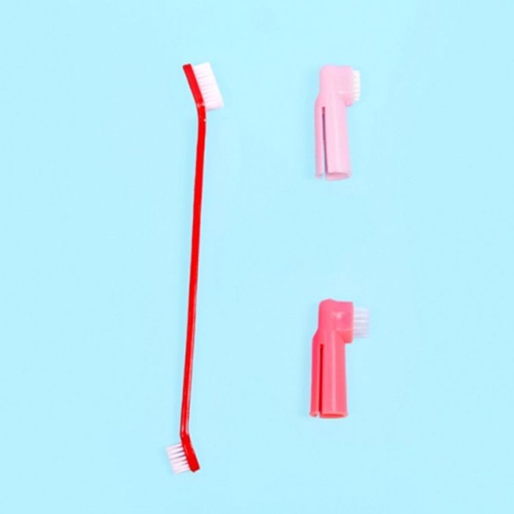 반려견손가락칫솔 강아지 손가락 칫솔 세트 1p 반려견 치석관리 양치 홈플러스 택배배송