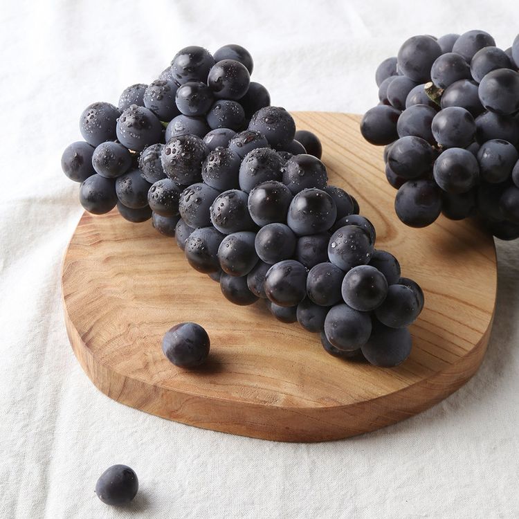 백화명산 모동포도 1.5KG(박스) | 홈플러스