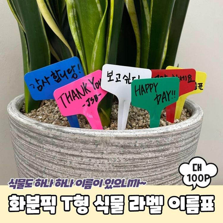 Pbru 631 A 화분픽 T형 식물 라벨 이름표 대 100p 홈플러스 택배배송