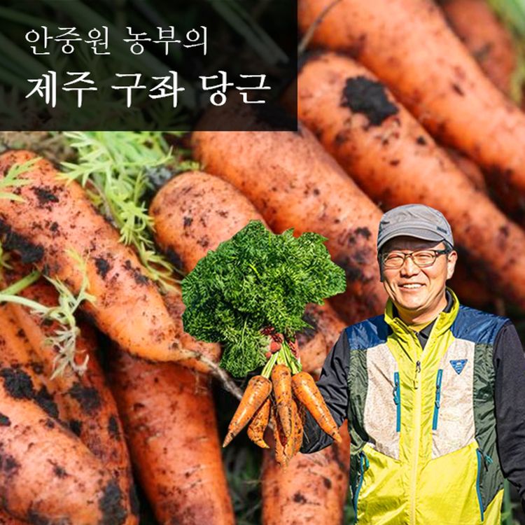 참다올 산지직송 제주 당근 특상 5kg 홈플러스 택배배송