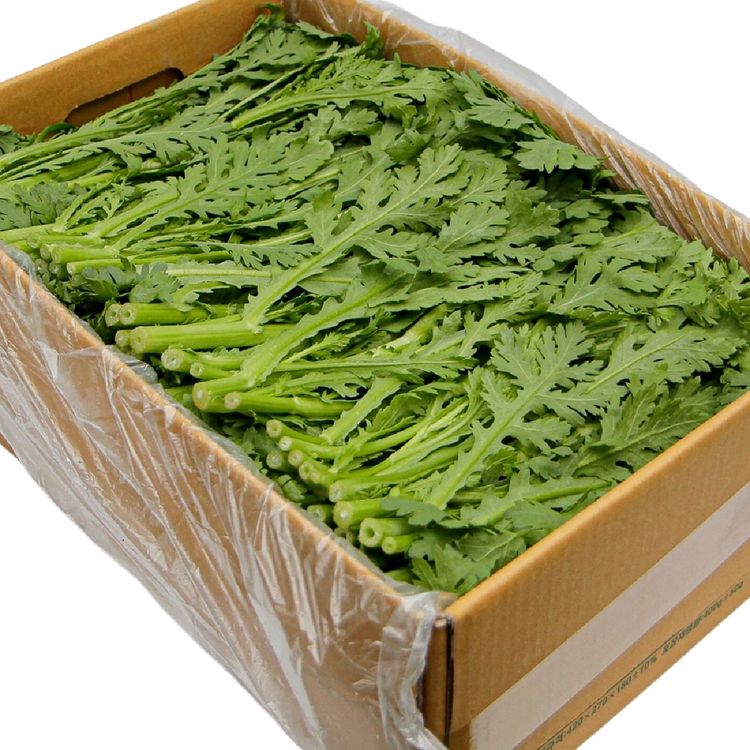 국내산 특품 쑥갓 반박스 2kg 쌈채소 쌈야채 샐러드채소 모듬쌈 가락시장 당일새벽경매 홈플러스 택배배송