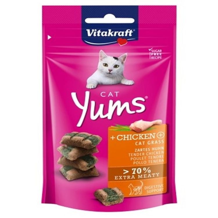 비타 캣얌치킨and캣그라스 40g 홈플러스