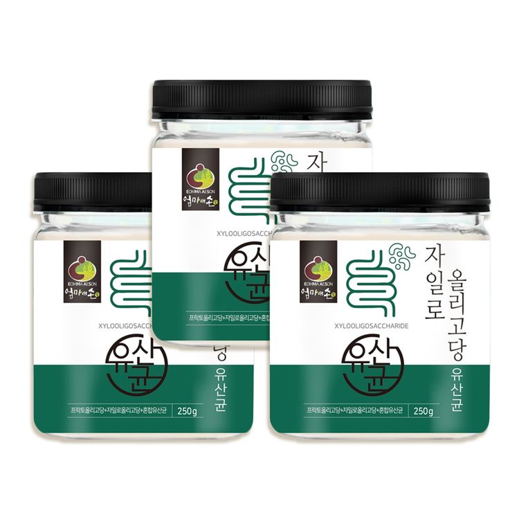 Well B 프락토 자일로 올리고당 유산균 분말 750g 홈플러스 택배배송