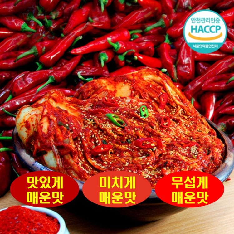 국중석 맛있는 전라도 명품 매운맛 3단계 배추불김치 맛있게매운맛 5kg 홈플러스 택배배송