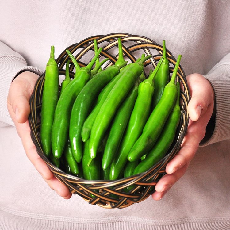 산지직송 고품질 달콤아삭 밀양 미인풋고추 500g X 2팩 특품 홈플러스 택배배송