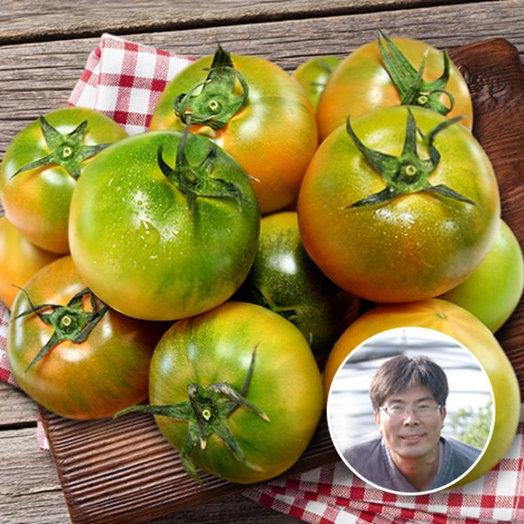 산지직송 정상철 생산자의 흙사랑 대저토마토 25kg 1~2번과 홈플러스 택배배송