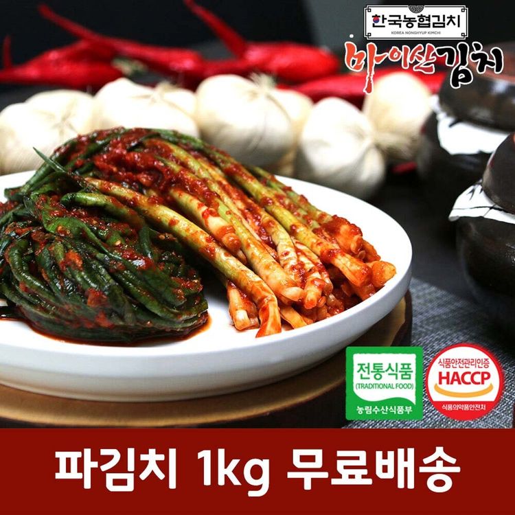 한국농협김치 국산 재료 진안 마이산 파김치 1kg 홈플러스 택배배송