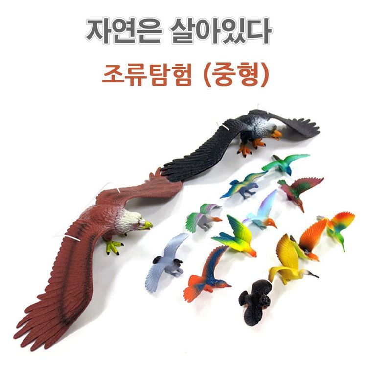 이종욱토이 자연은살아있다 조류탐험 중형 홈플러스 택배배송