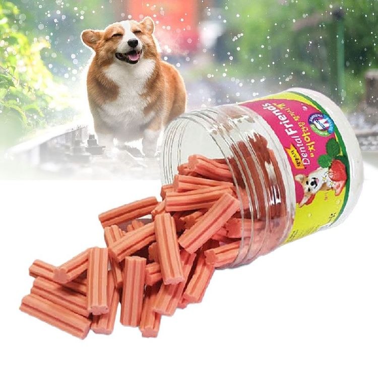 개껌 강아지 양치껌 덴탈프랜즈 2종 600g 딸기 민트 홈플러스 택배배송