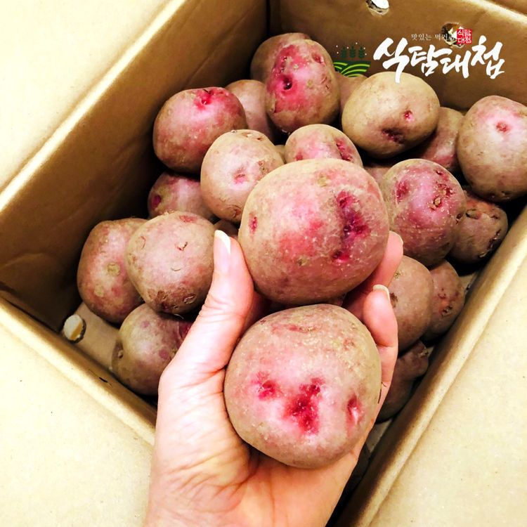 식탐대첩 국내산 포슬포슬 속이노란 홍감자 5kg 특대 홈플러스 택배배송