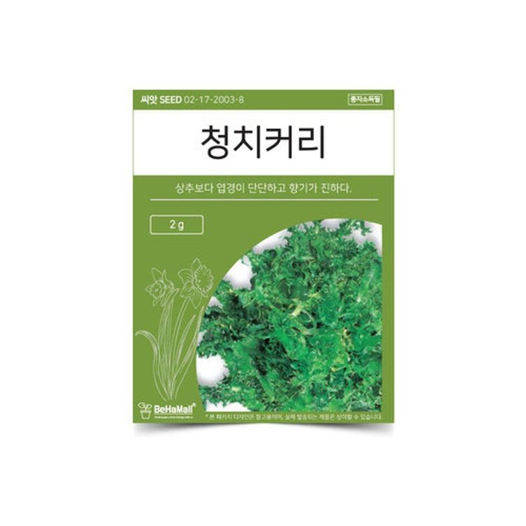 베하몰 텃밭 채소 씨앗 청치커리 홈플러스 택배배송