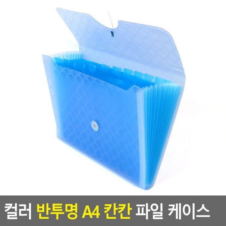 컬러 반투명 A4 칸칸 파일 케이스 파일케이스 파일보관함 파일정리함 파일박스 화일보관함 홈플러스 택배배송