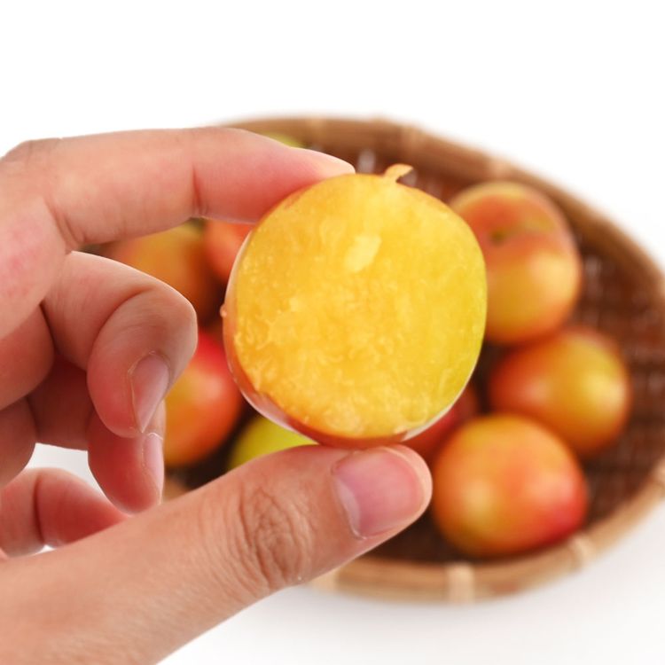 새콤달콤 제철 햇 자두 1.2kg(300gX4팩) 개당40g내외 | 홈플러스 택배배송