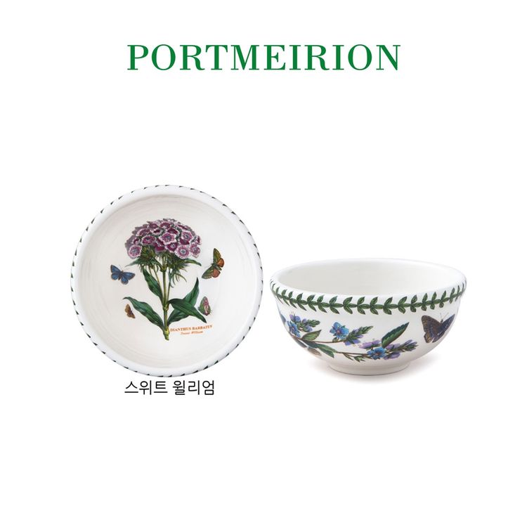 포트메리온 보타닉가든 공기 12cm 22스위트윌리엄 1p 홈플러스 택배배송