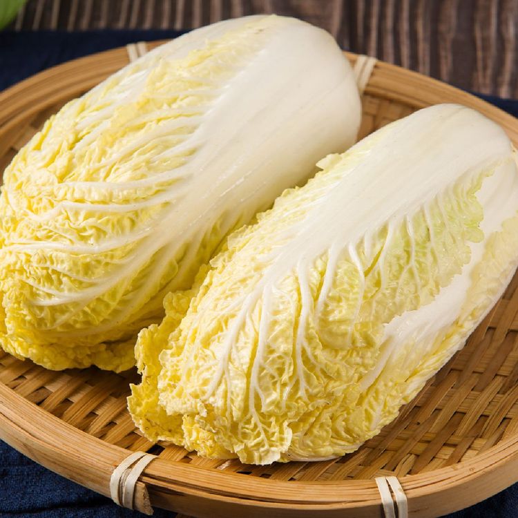 해남 제철 알배기 쌈배추 4kg 홈플러스 택배배송