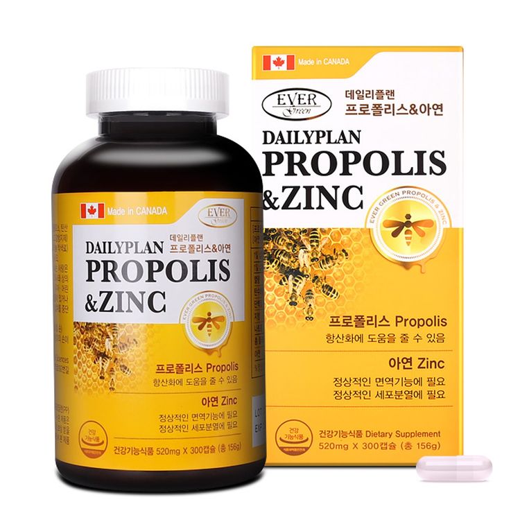 에버그린 데일리플랜 프로폴리스and아연 520mg300캡슐 홈플러스 택배배송