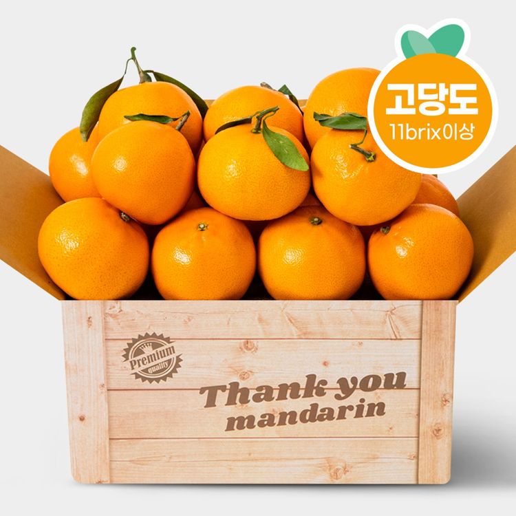 수플린 하귀농협 제주의 향기를 담은 과일선물 황금향 25kg10~14수11brix 홈플러스 택배배송