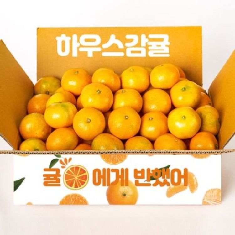 ★비밀특가★ 제주하우스 당도 높은 하우스감귤 중대과 45kg L~2l 홈플러스 택배배송