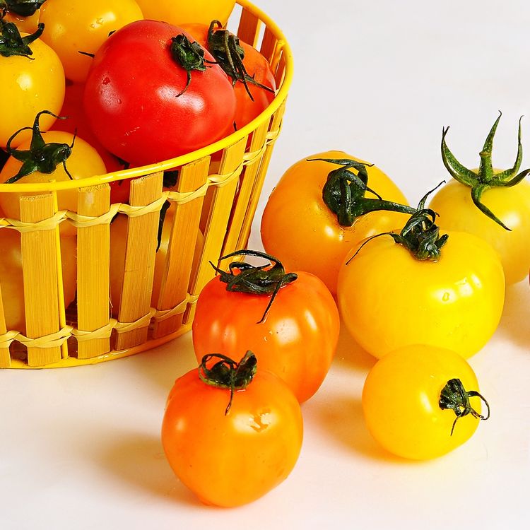 당일수확 당일발송 컬러대추방울토마토 500g X 1팩 홈플러스 택배배송
