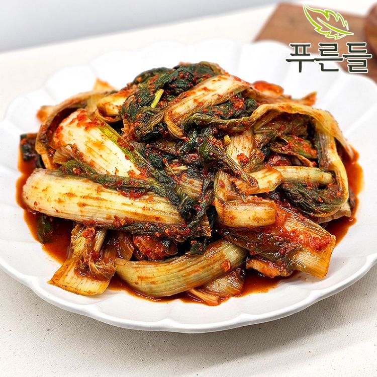 푸른들 양념한가득 전라남도 함평김치 얼갈이김치 5kg 홈플러스 택배배송